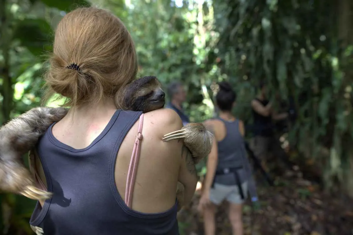 Limitless with Chris Hemsworth and A Real Bug's Life Renewed