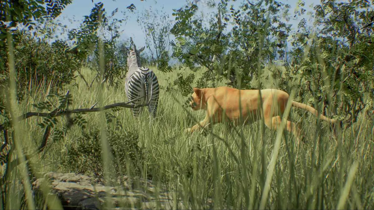 Predator v Prey Series Coming to BBC America and AMC+