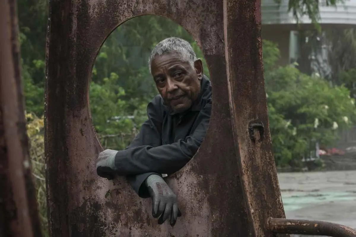 What's New on AMC Networks in May 2024