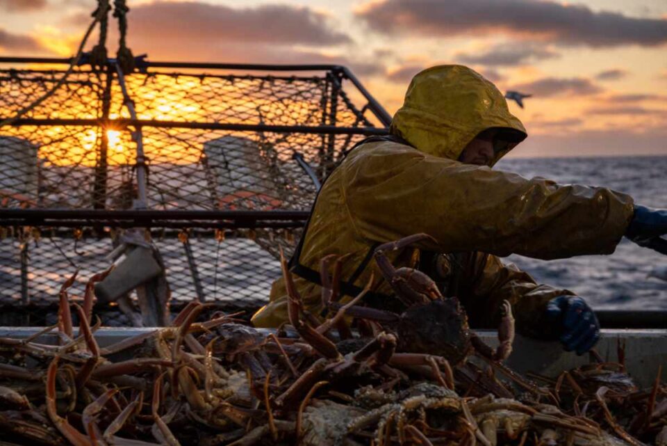 Deadliest Catch Season 20 First Look