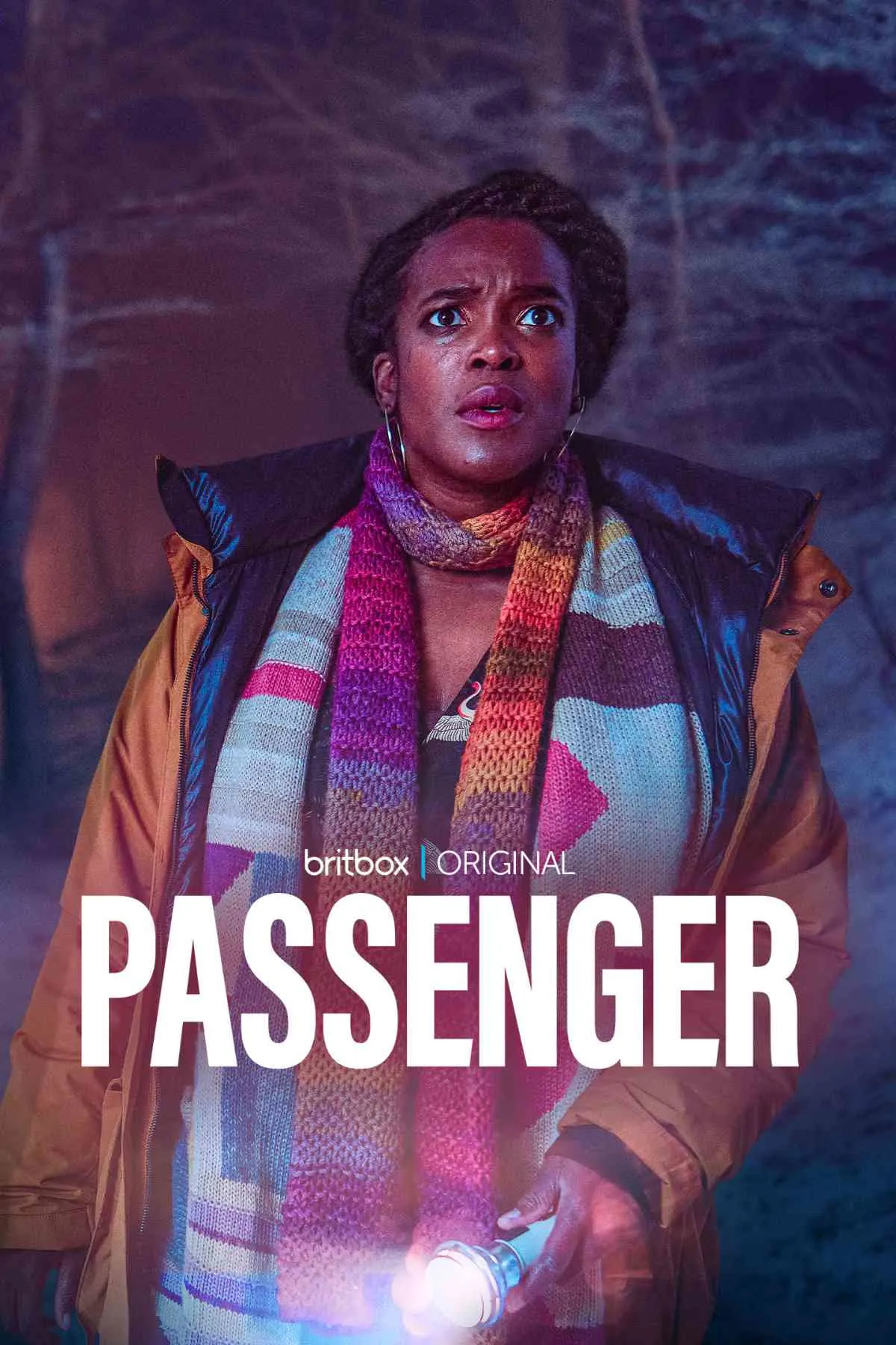 Passenger Premiere Date and Trailer Revealed by BritBox