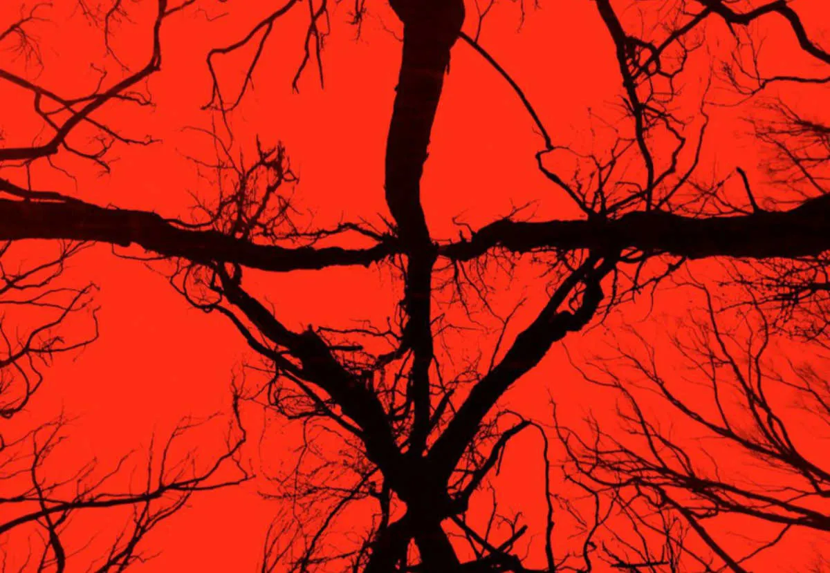 Tubi November 2024 Schedule Announced