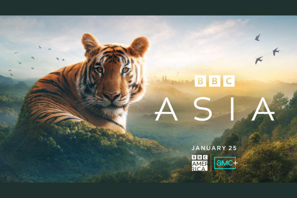 Asia Natural History Series Coming to AMC+ and BBC America