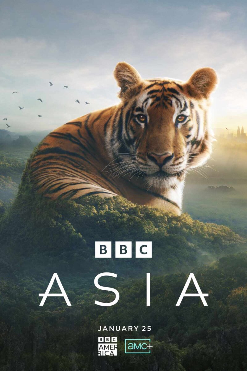 Asia Natural History Series Coming to AMC+ and BBC America