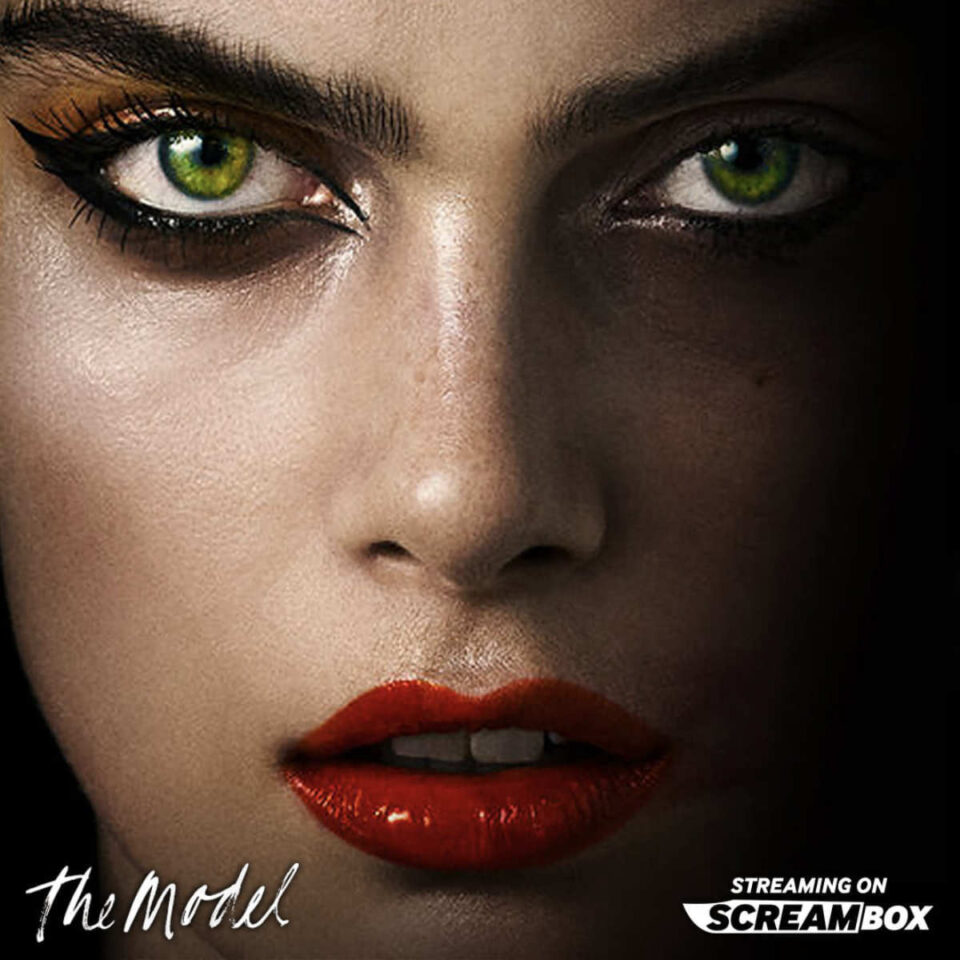 Screambox November 2024 Titles Announced