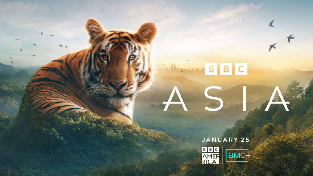 AMC Networks January 2025 Schedule Announced