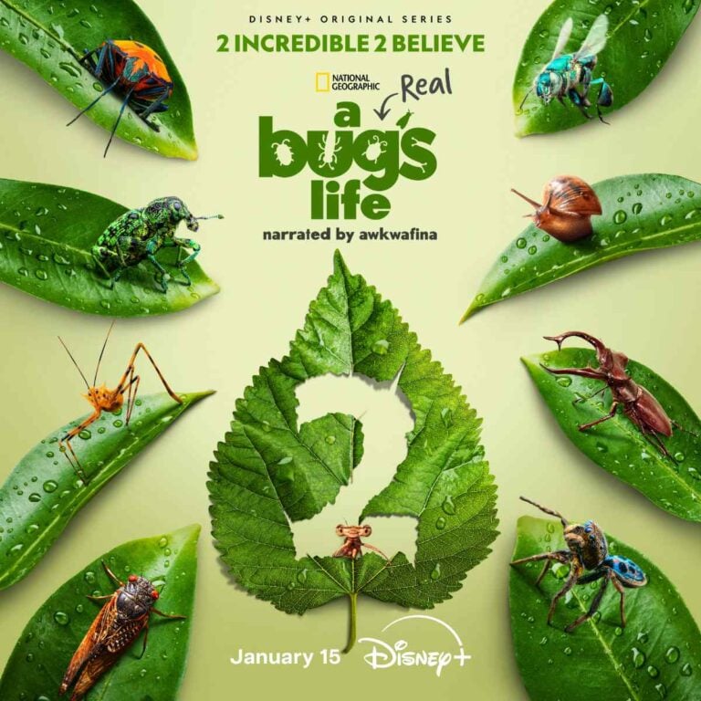 A Real Bug's Life Season 2 Is Crawling Onto Disney+ in January