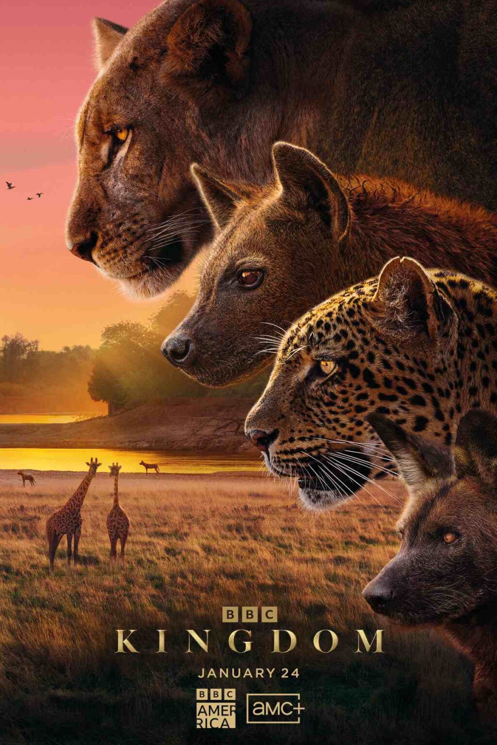 Kingdom Trailer and Key Art From BBC America and AMC+