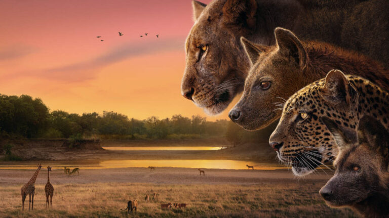 AMC Networks February 2026 Schedule Announced